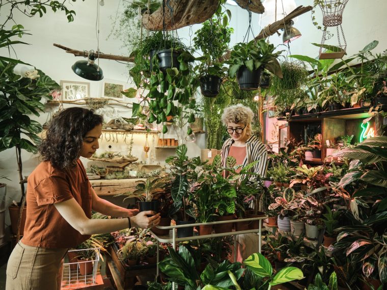 Jardinage urbain: conseils pratiques pour petits espaces